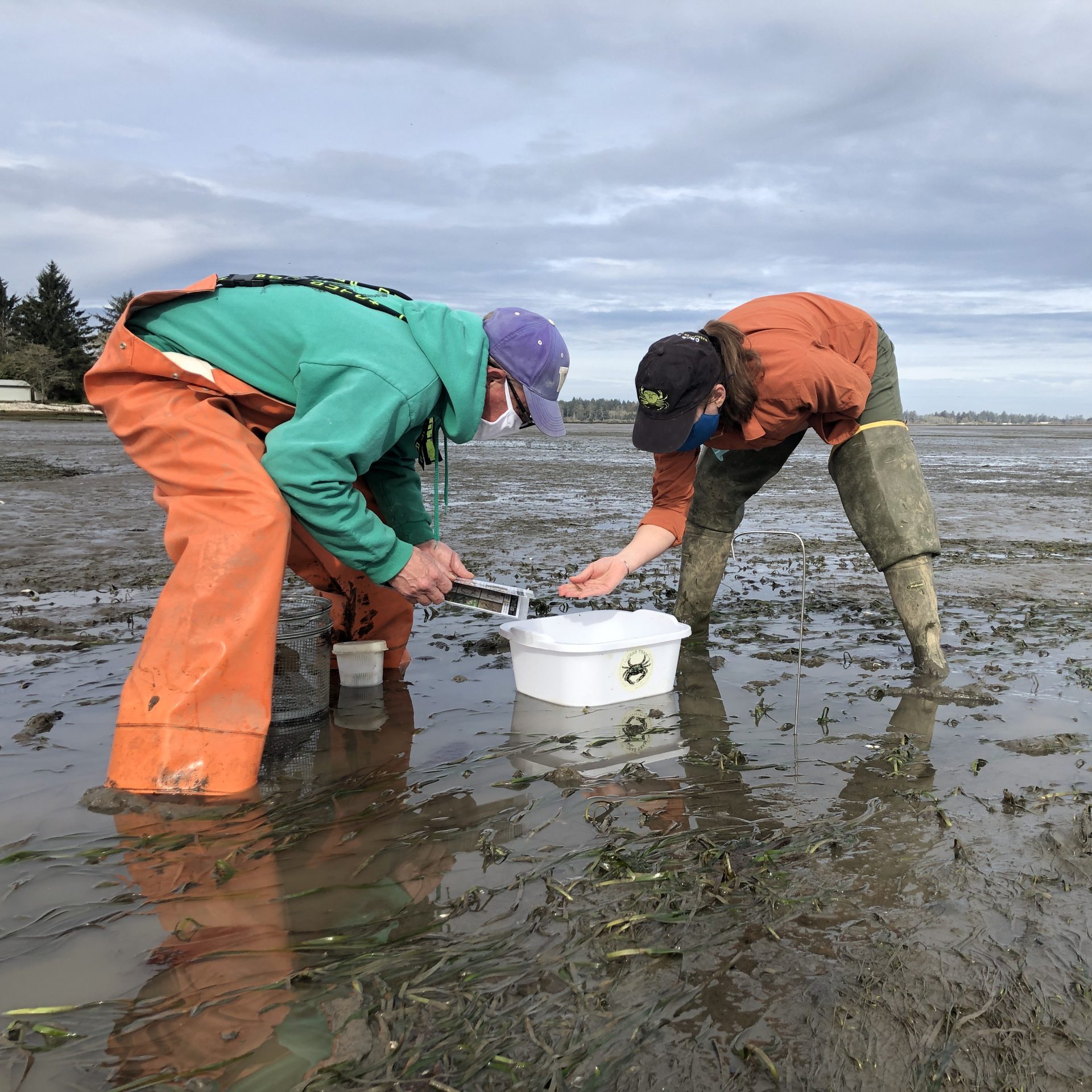 Coastal Monitor Toolbox – Washington Sea Grant