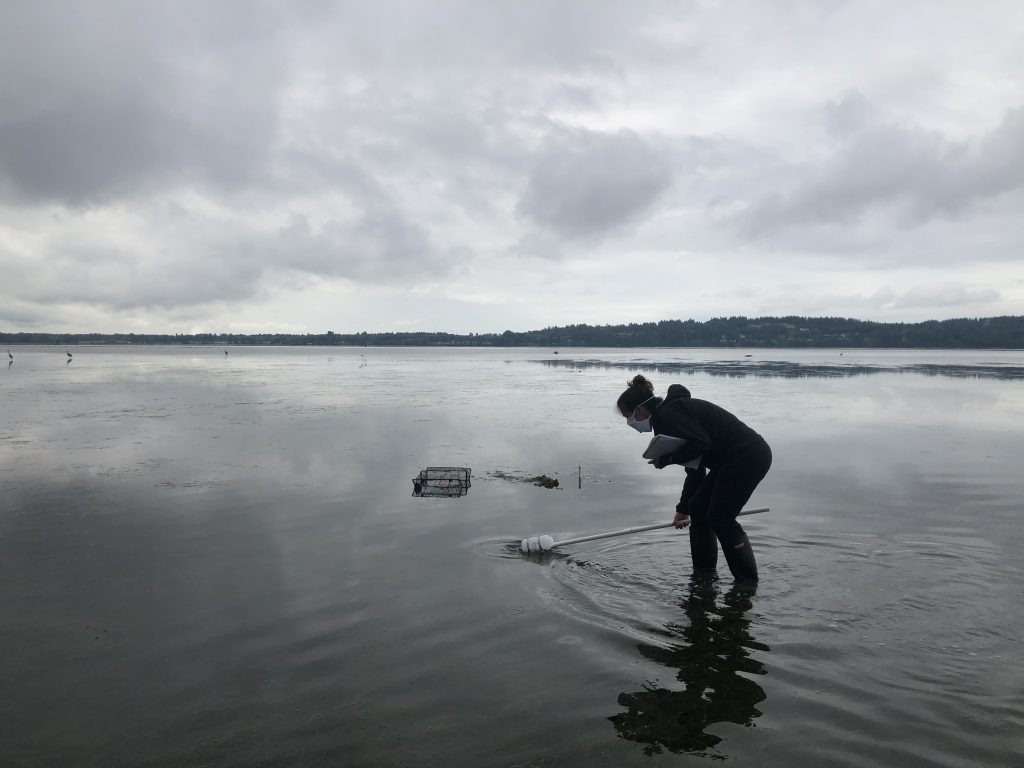 Environmental DNA (Part 3): Reconciling eDNA with Traditional Detection ...