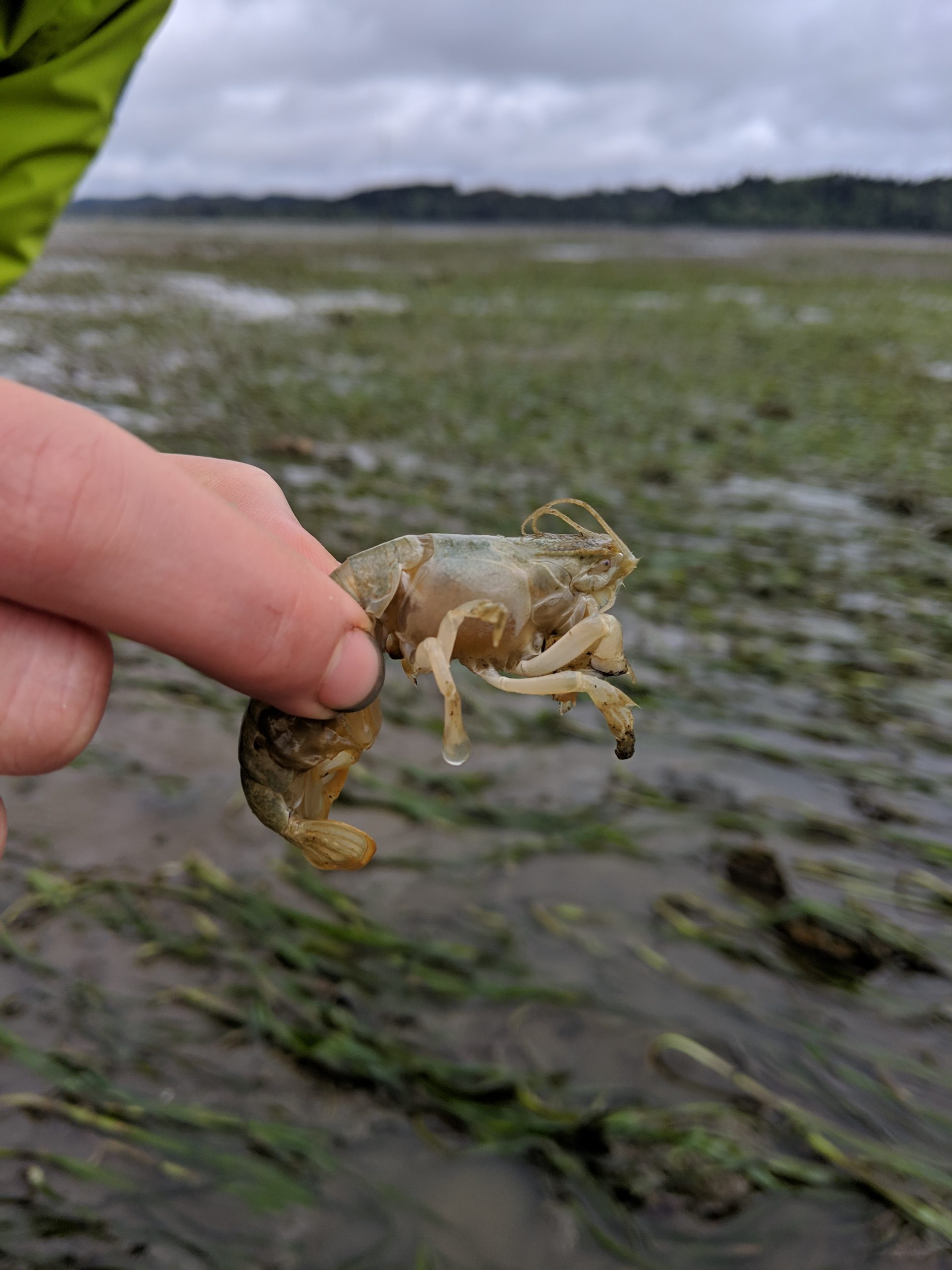 Wesley Hull wins UW Graduate School Medal for work with Washington ...