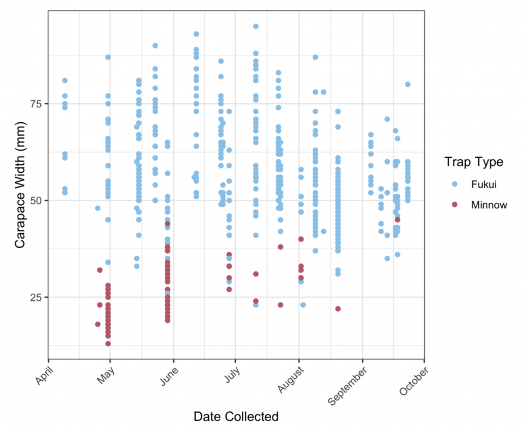 2024 Green Crab Status Summary: Part 2 (Coastal Estuaries) – Washington ...