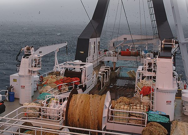 Seabird Bycatch – Trawl – Washington Sea Grant