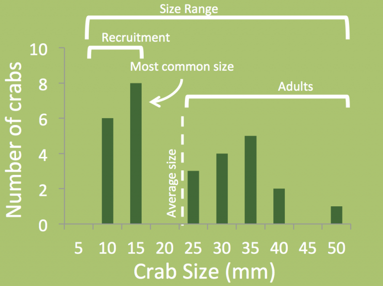 Protocol in Focus: What Is “Haphazard Sampling”? – Washington Sea Grant