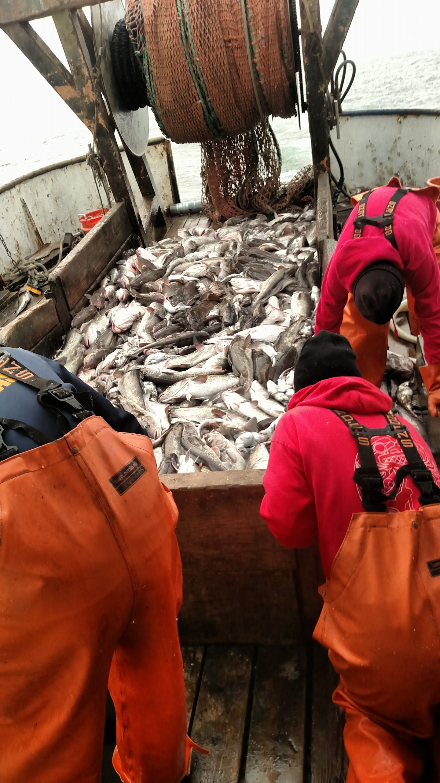 Who brings your seafood to you? An interview with Roger Bain, fisherman ...