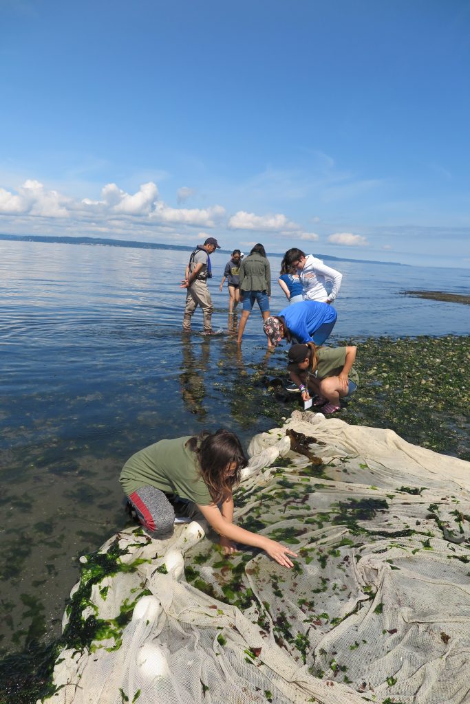 Twenty years of NOAA Science Camp – Washington Sea Grant