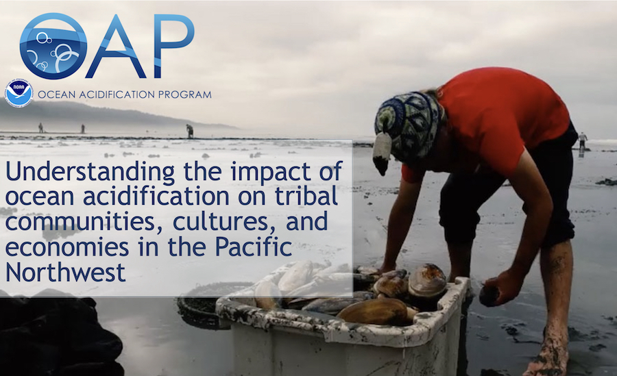 Olympic OA Regional Vulnerability Assessment – Washington Sea Grant