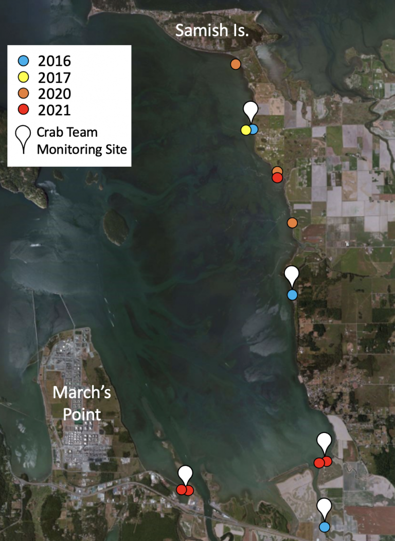 Padilla Bay: In It For The Long Haul – Washington Sea Grant