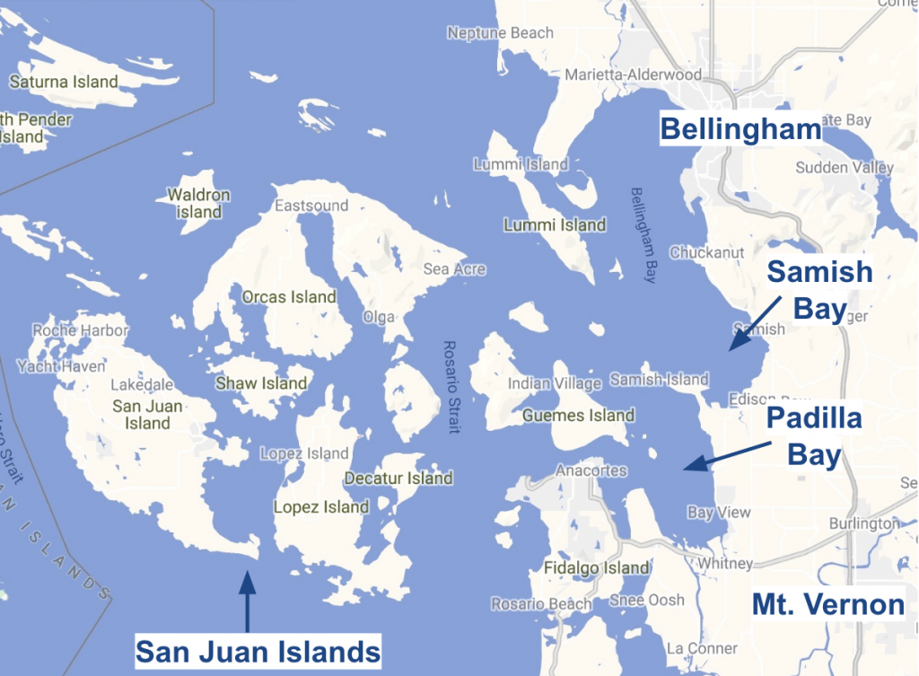 New Detection of European Green Crab in Samish Bay – Washington Sea Grant