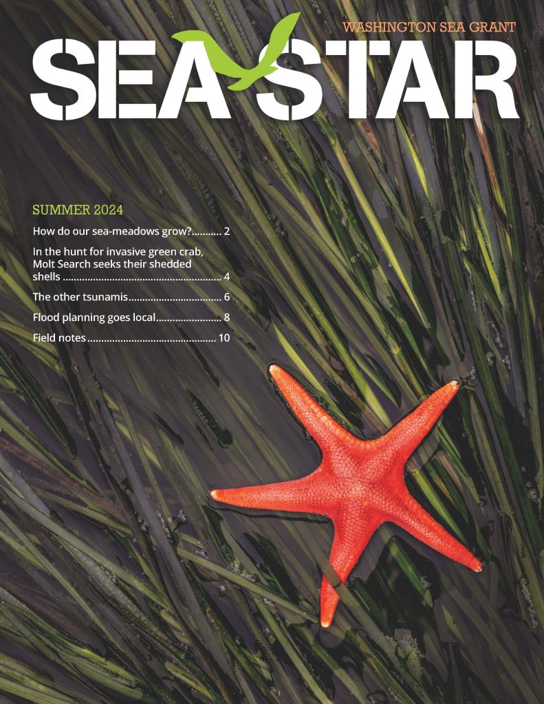 Summer 2024 Sea Star – Washington Sea Grant
