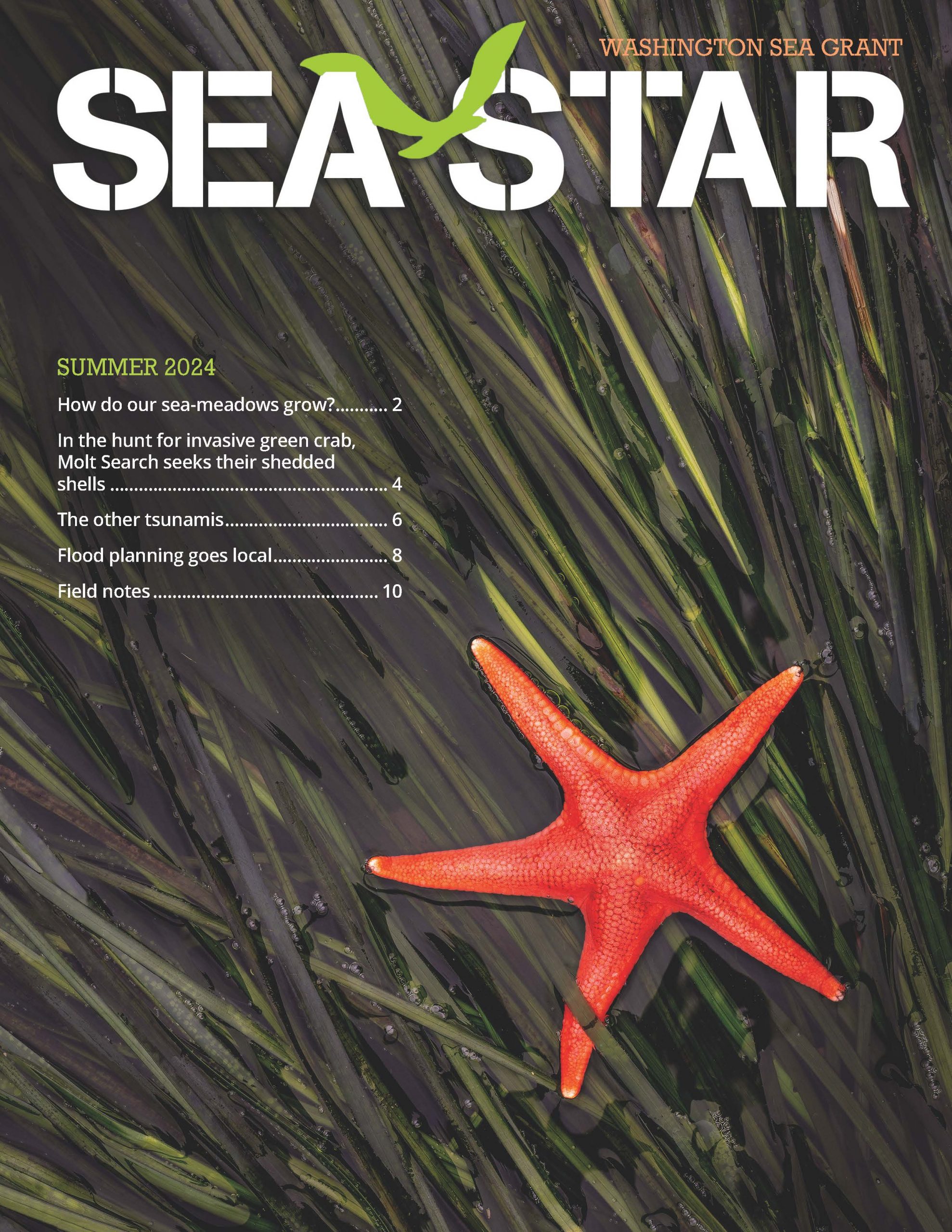 Summer 2024 Sea Star – Washington Sea Grant