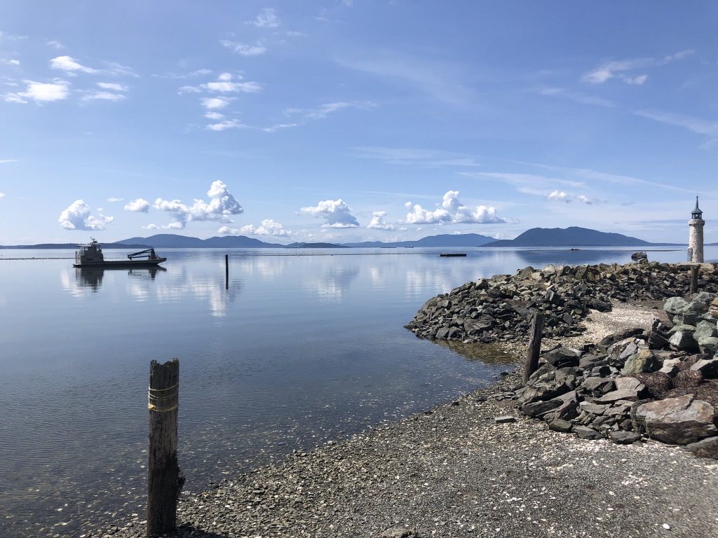 Additional Green Crab Captured in Samish Bay – Washington Sea Grant
