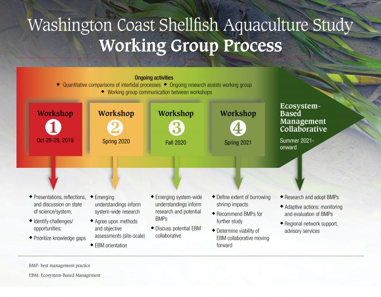 Washington Coast Shellfish Aquaculture Study – Washington Sea Grant