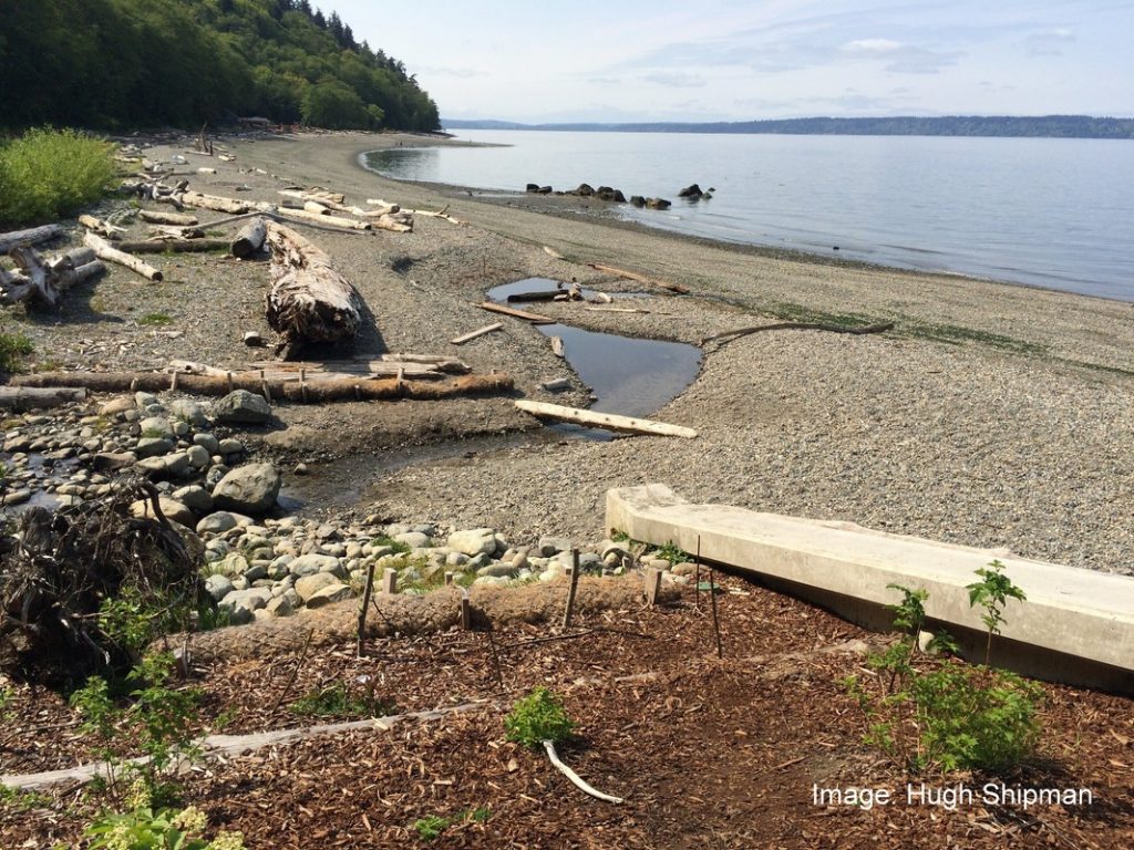 Addressing Shoreline Armoring in Puget Sound: Weaving together the past ...