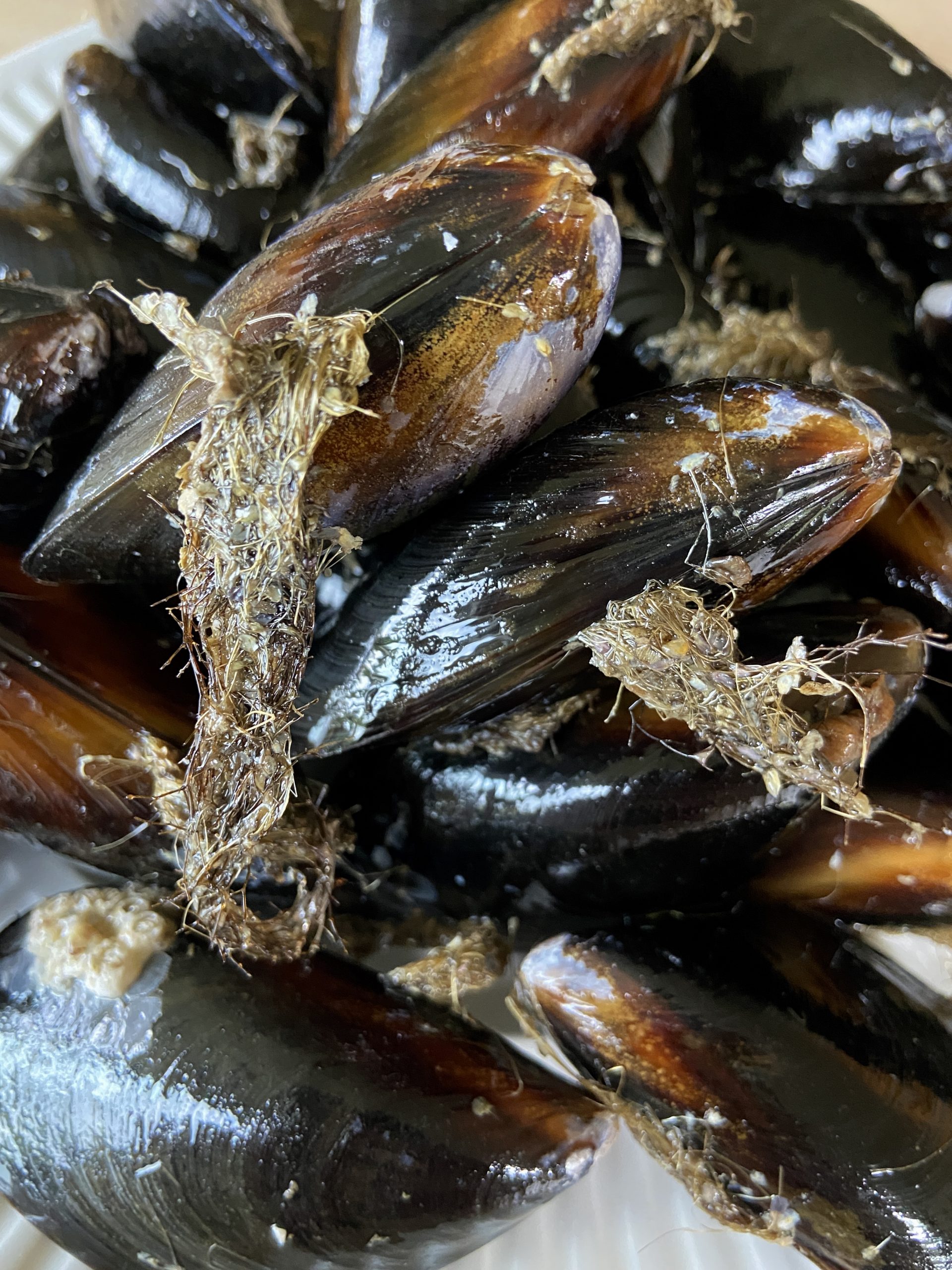 Mussels with Spicy Tomato Butter – Washington Sea Grant