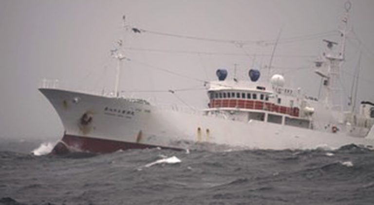 Seabird Bycatch – Longlines – Washington Sea Grant