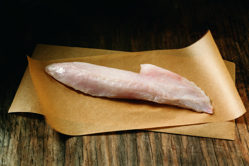 Grilled Fish Tacos – Washington Sea Grant