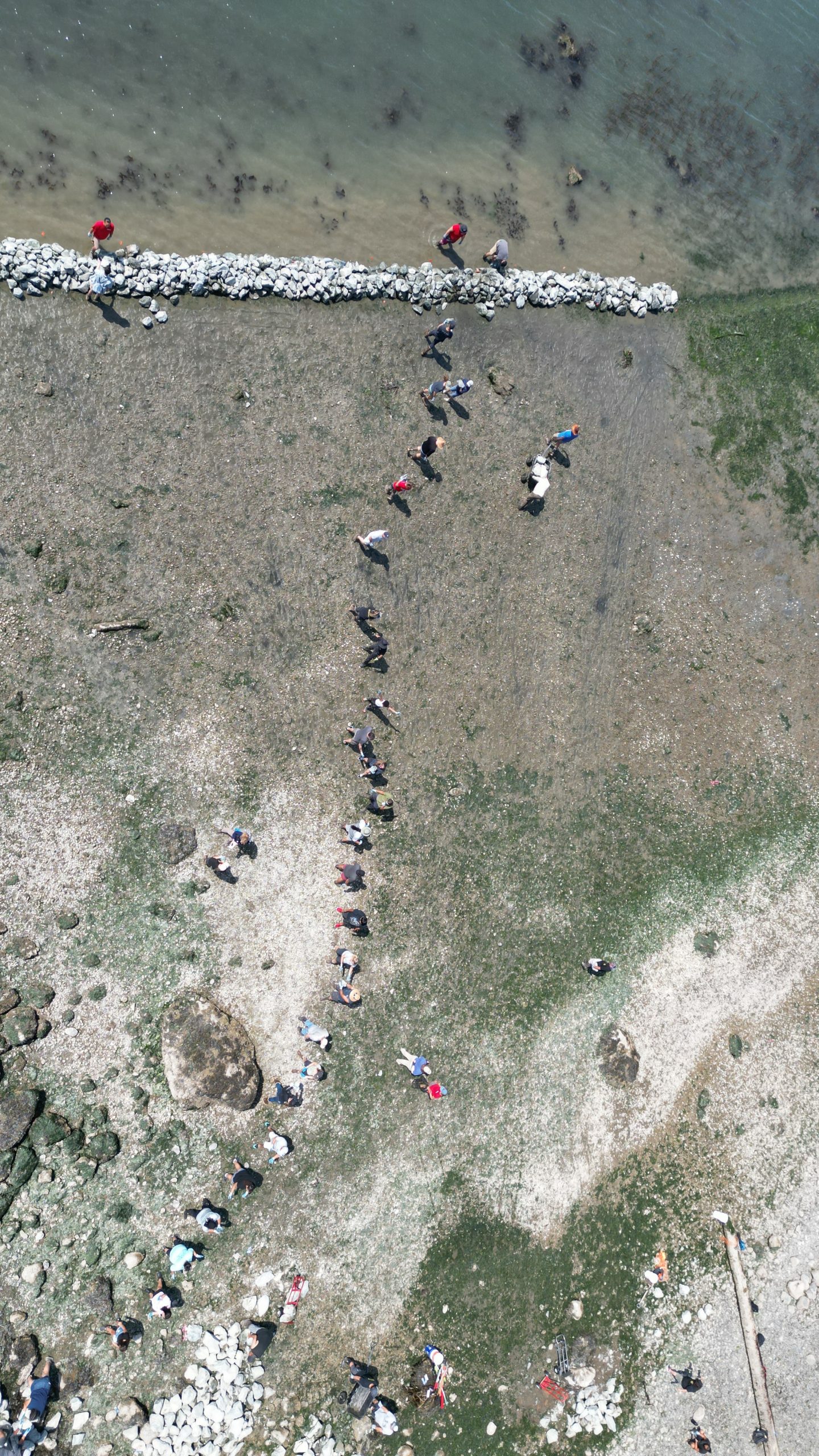 Restoring tradition, place and connection through a clam garden ...